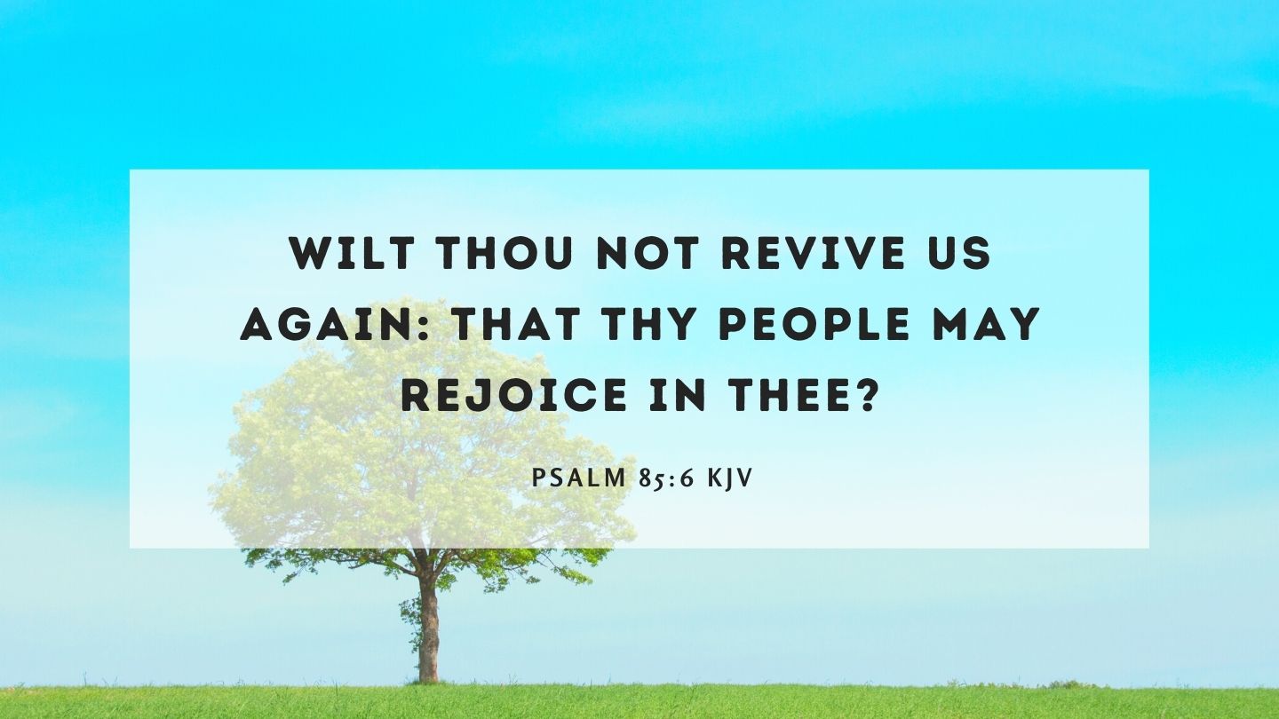 Psalm 85:6 - Bible Verse of the Day