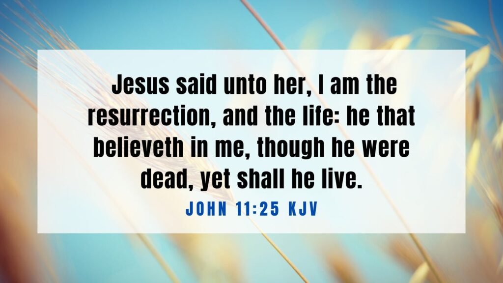 John 11 25 KJV Bible Verse Of The Day