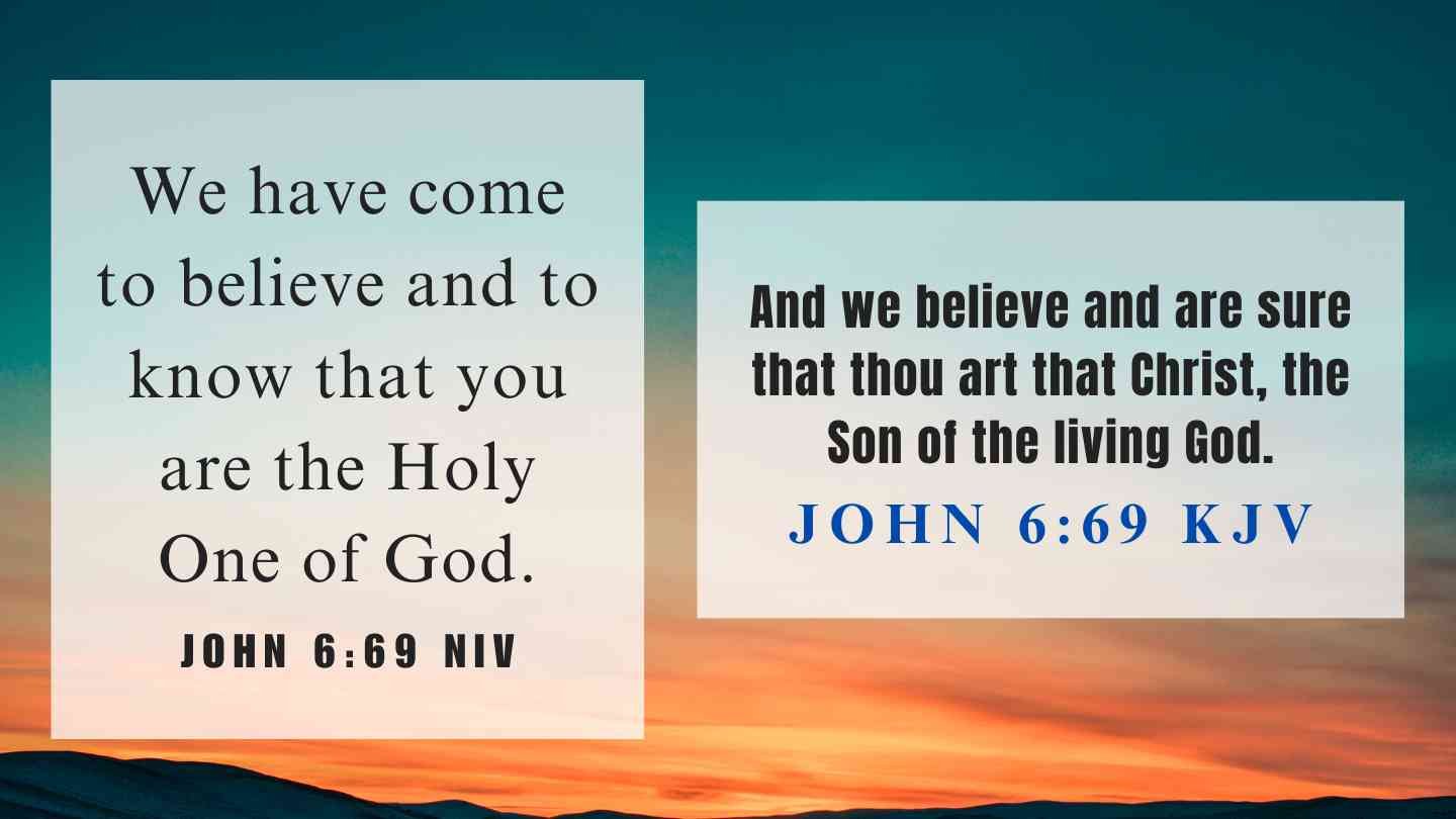 What Does John 6 69 Mean 